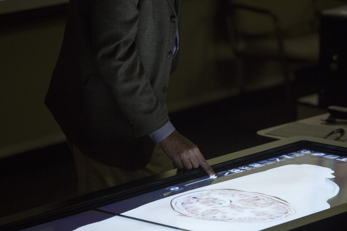 Human body dissection in 3D at WSU | News, Sports, Jobs - Standard-Examiner